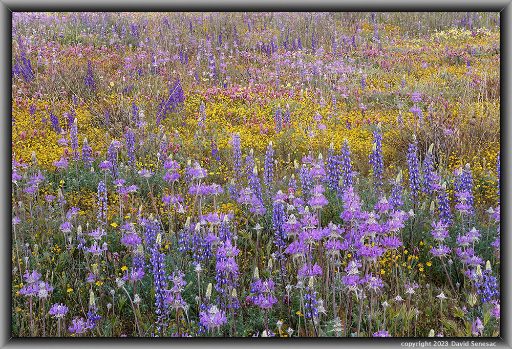 2023 Trip Chronicles: Page 4