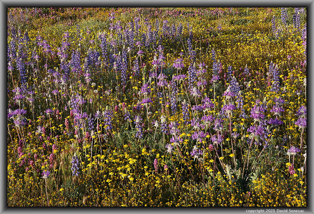 2023 Trip Chronicles: Page 4