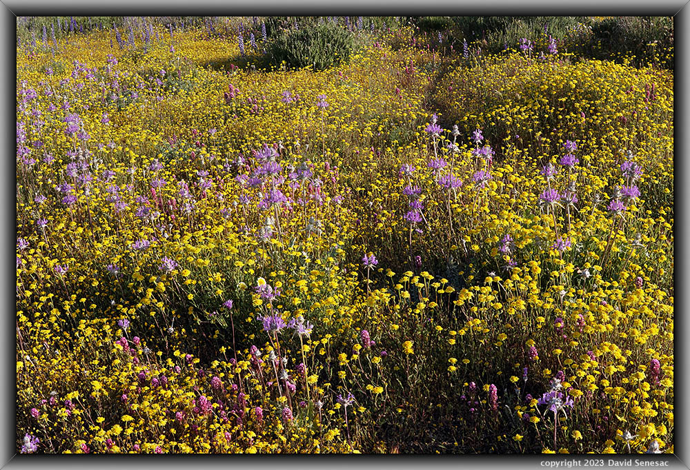 2023 Trip Chronicles: Page 4